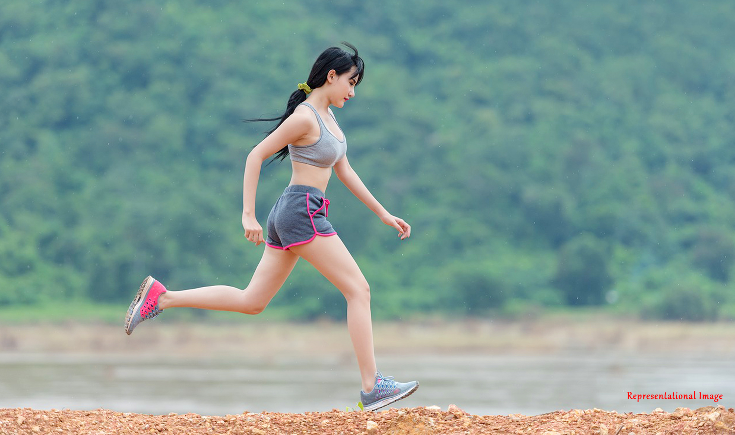 The Secret to Stronger Bones – IITM TECH TALK The Secret to Stronger Bones – IITM TECH TALK